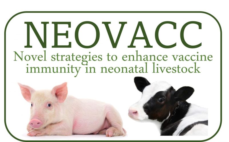 NEOVACC - ICRAD