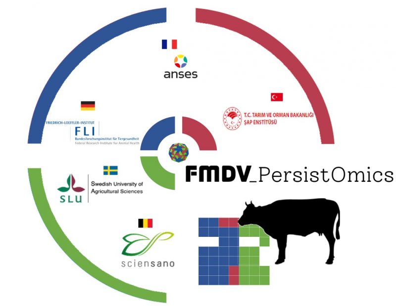FMDV_PersIstOmics - ICRAD