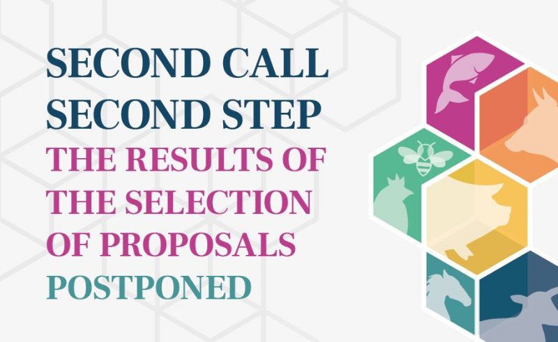 Second Call - second step: submission of full proposals - ICRAD
